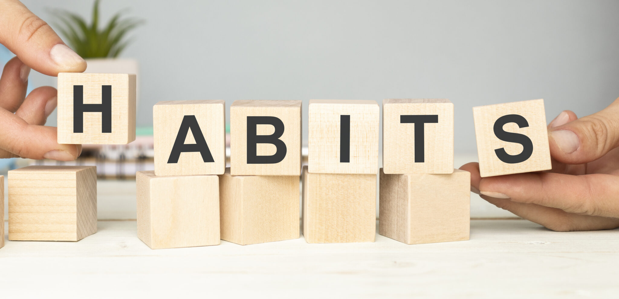 HOW TO BUILD SUCCESSFUL HABITS - Cactus Diaries HOW TO BUILD SUCCESSFUL HABITS - Cactus Diaries
